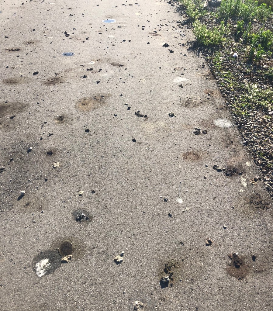 The Cluttered Path… – Storyteller from a One-Stoplight Town